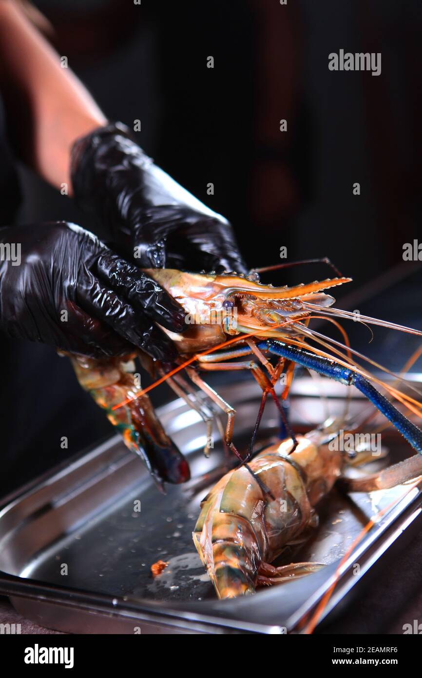 Giant Freshwater Shrimp Wow