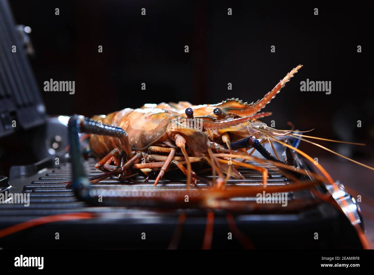 Giant freshwater shrimp are on the grill. Grilled shrimp. Photo on a ...