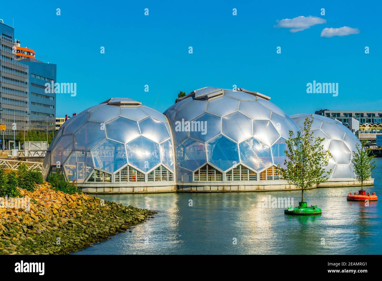 Skyline of Rotterdam with skyscrapers and the floating pavilion ...