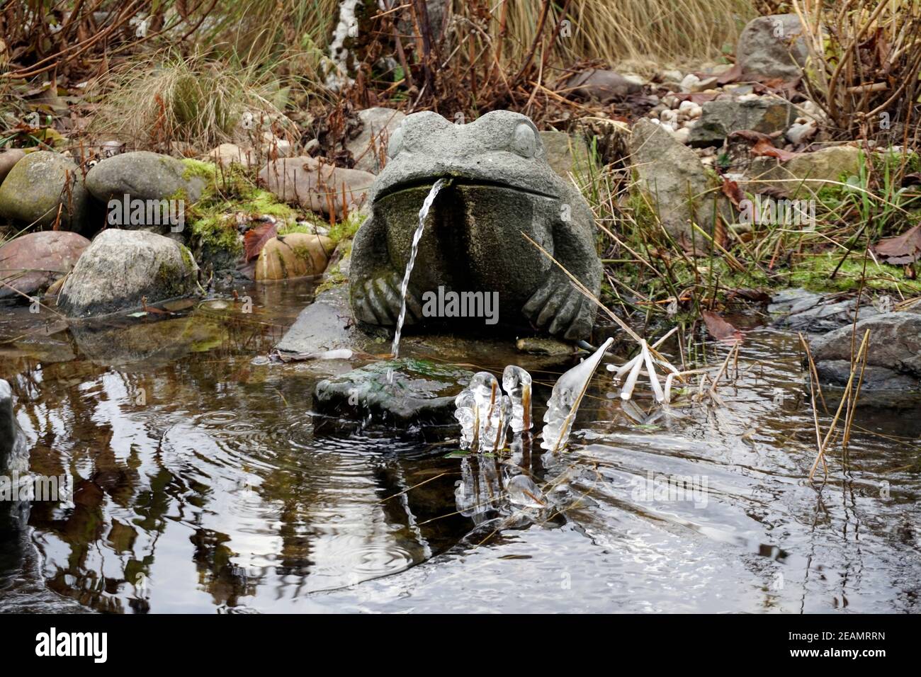 Water spitting hi-res stock photography and images - Alamy