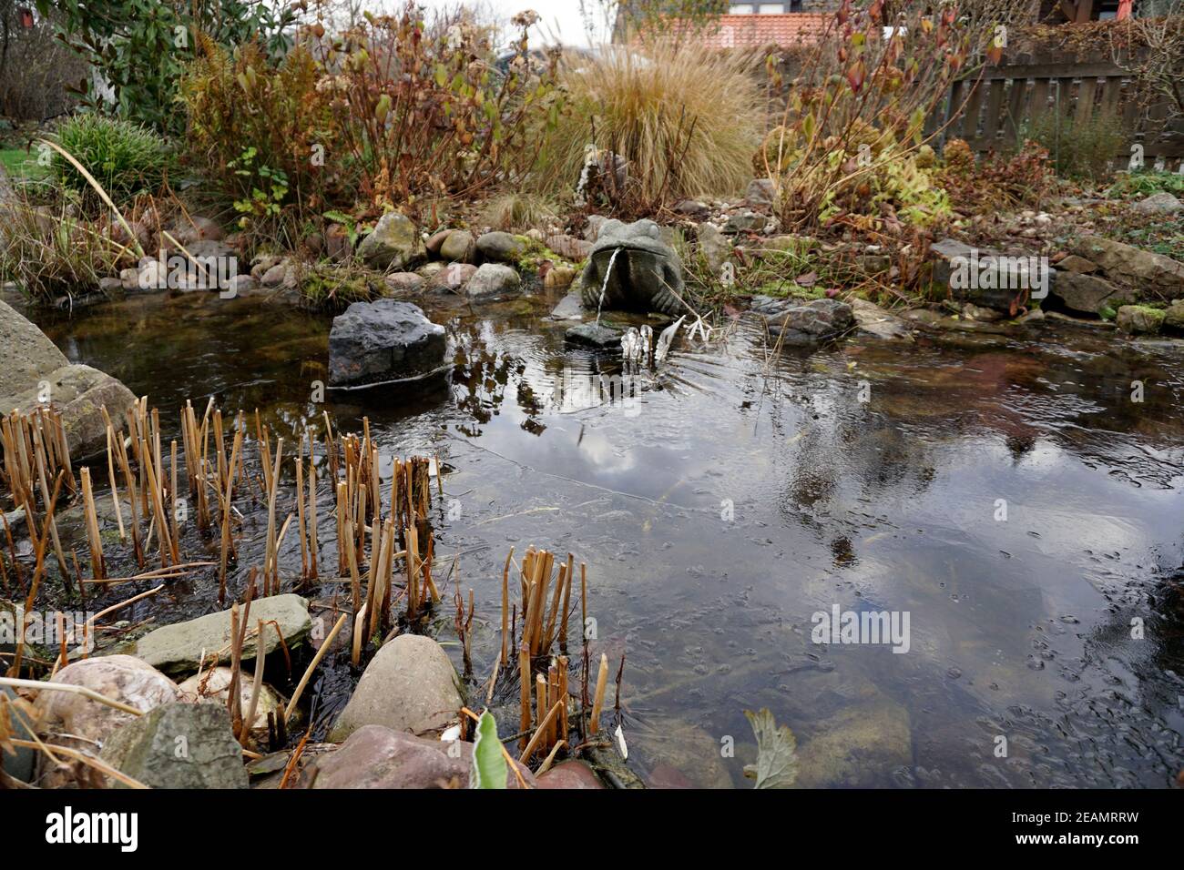Water spitting frog made of stone at the garden pond Stock Photo - Alamy