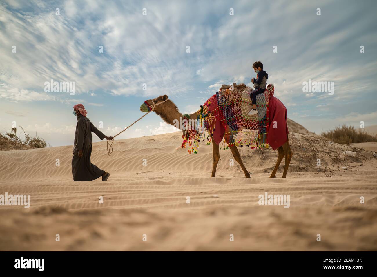 Tourist on camel back in inland sea Stock Photo - Alamy