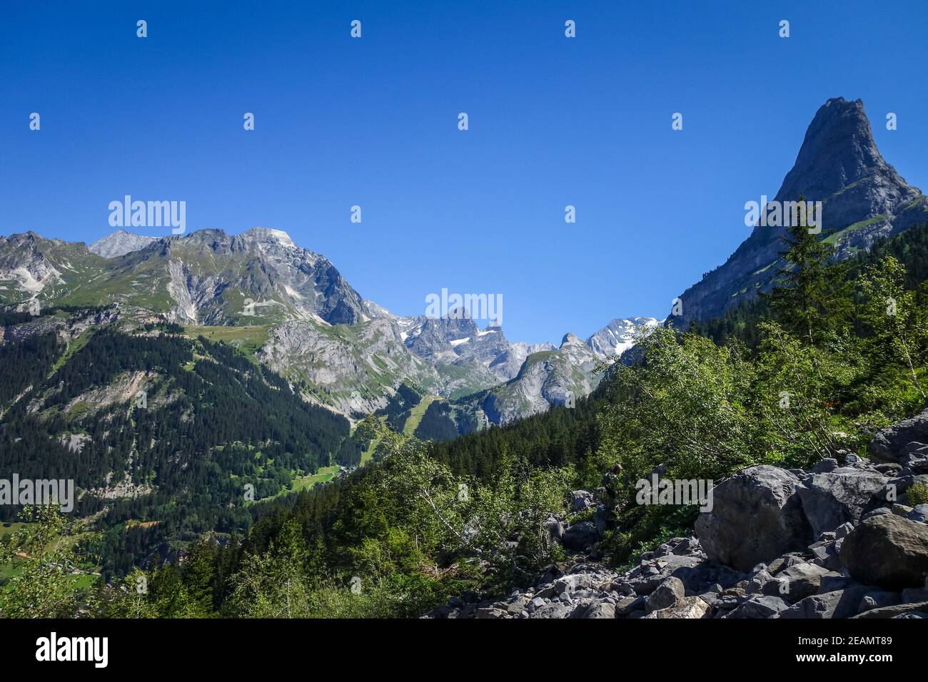Mountains and forest landscape in French alps Stock Photo - Alamy