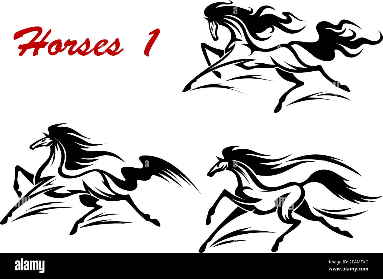 Elegant wild horse stallions in gallop run suitable for equestrian ...