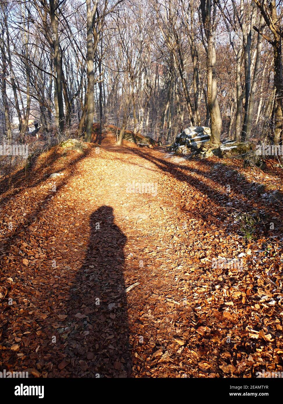 A silhouette on a way Stock Photo - Alamy