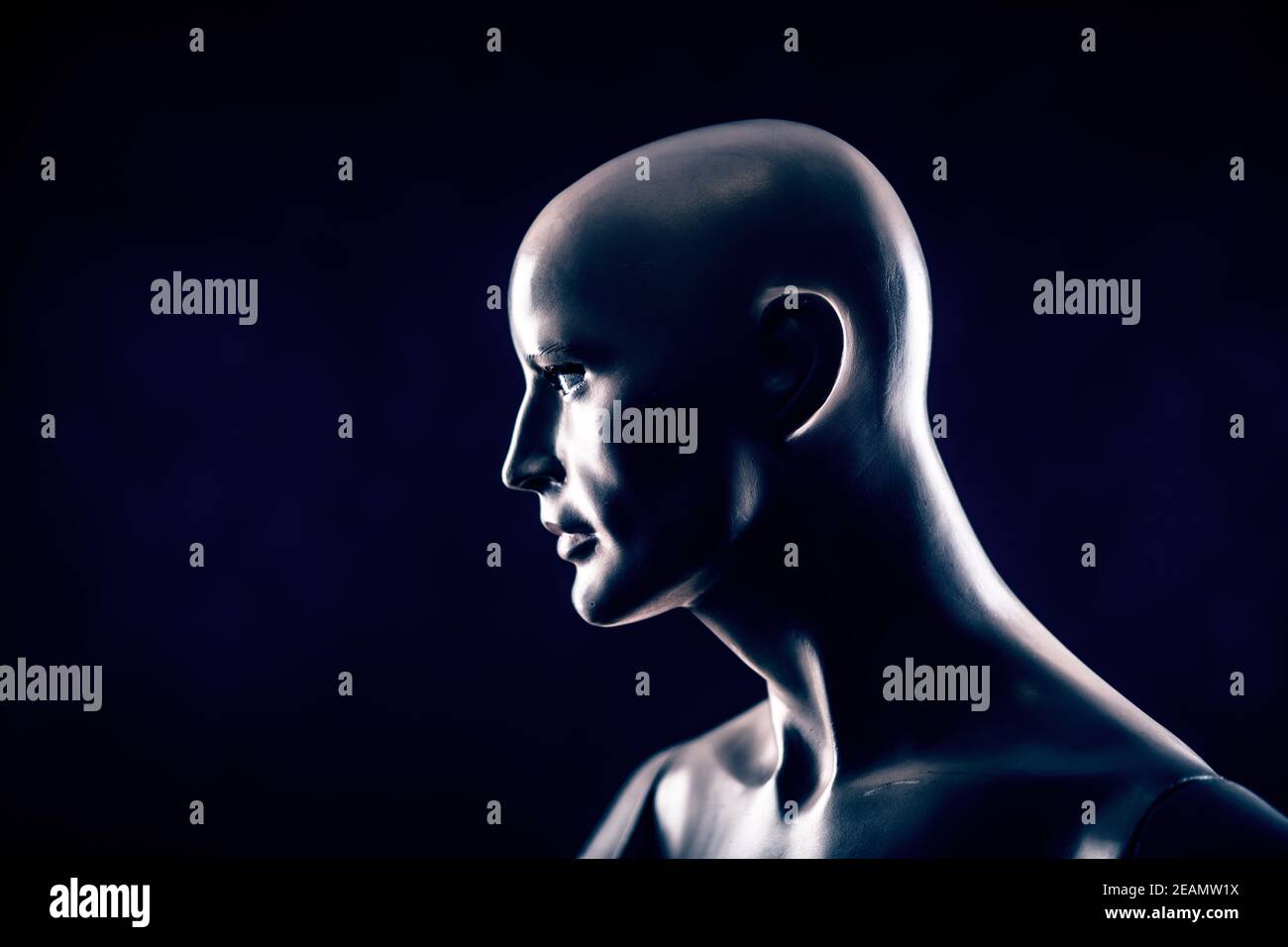 Scary mannequin head in the dark Stock Photo - Alamy