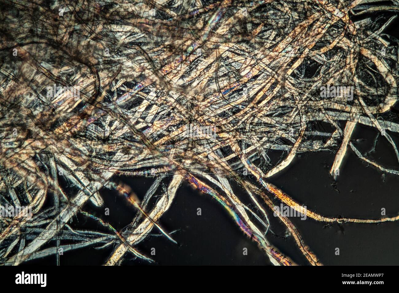 Cardboard fibers hi-res stock photography and images - Alamy