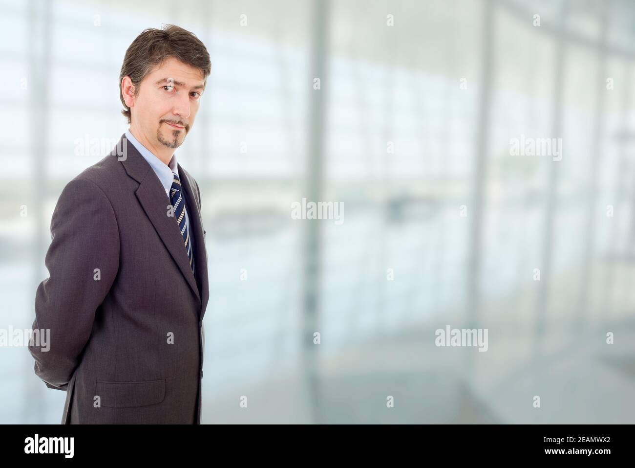 business man portrait at the office Stock Photo - Alamy