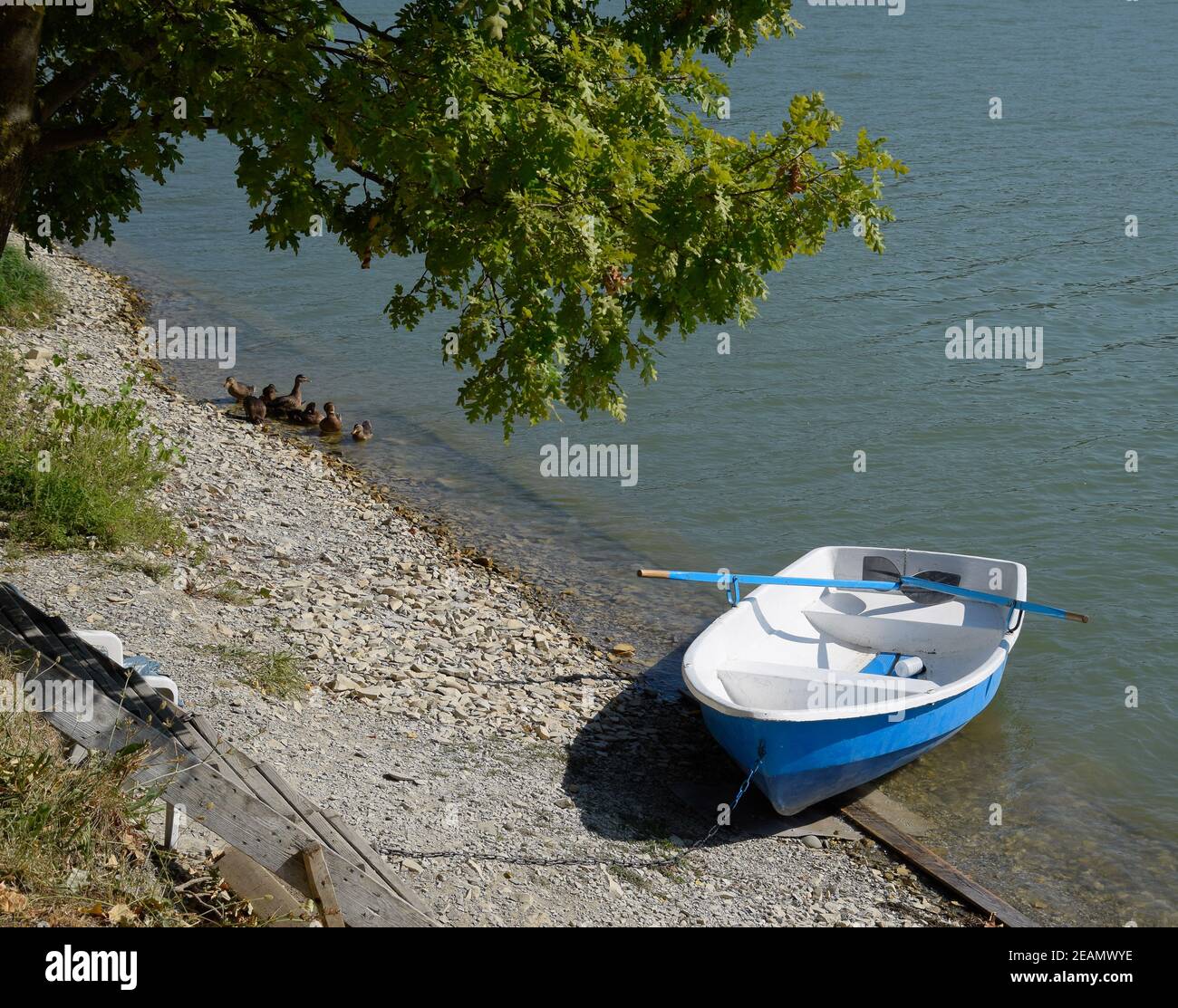 Lake shore fishing hi-res stock photography and images - Alamy
