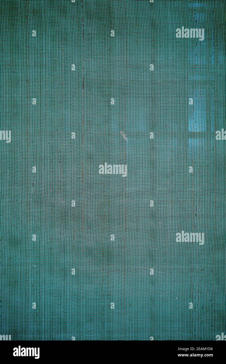 detail of an old green insect screen to prevent the entry of insects in ...