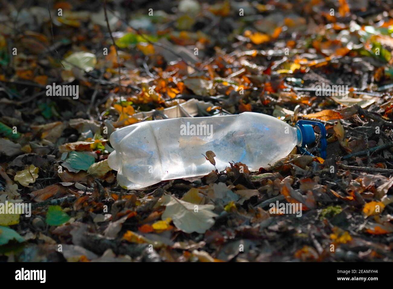 Plastic pollution forest hi-res stock photography and images - Alamy