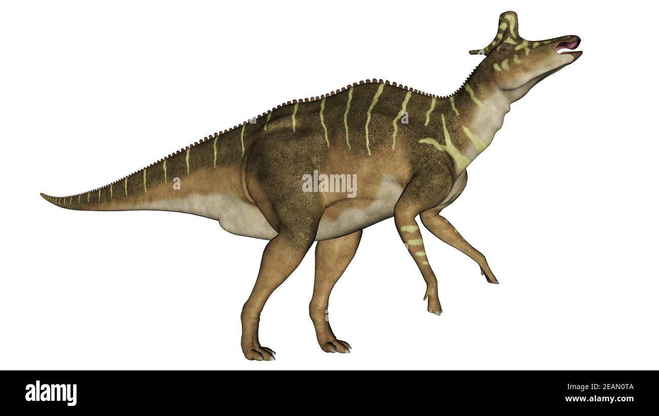 Lambeosaurus hi-res stock photography and images - Alamy