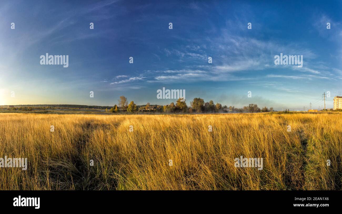 Nature landscape is forest and grass. Beautiful Stock Photo - Alamy