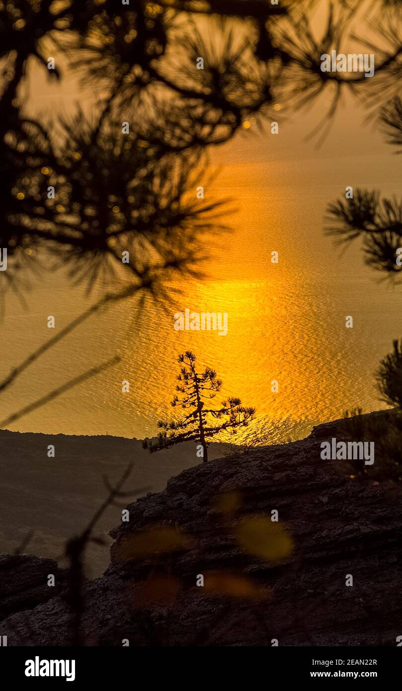 Juniper tree sunset hi-res stock photography and images - Alamy
