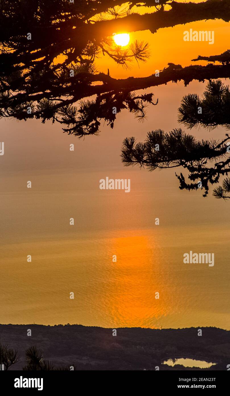 Sunlight sunset tranquil tree view water hi-res stock photography and ...