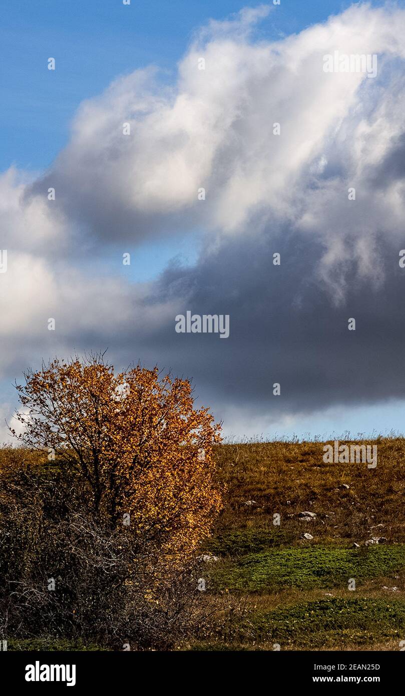 Crimea aerial view hi-res stock photography and images - Alamy