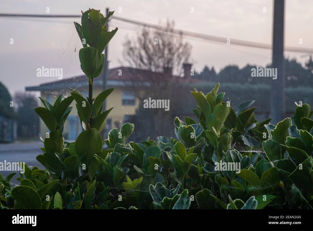 Lost foliage hi-res stock photography and images - Alamy