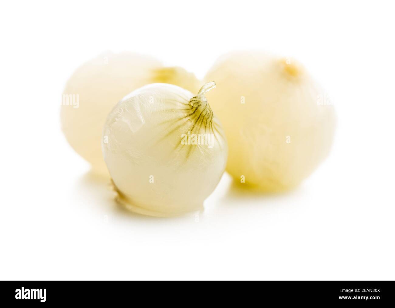 Pickled mini baby onions Stock Photo - Alamy