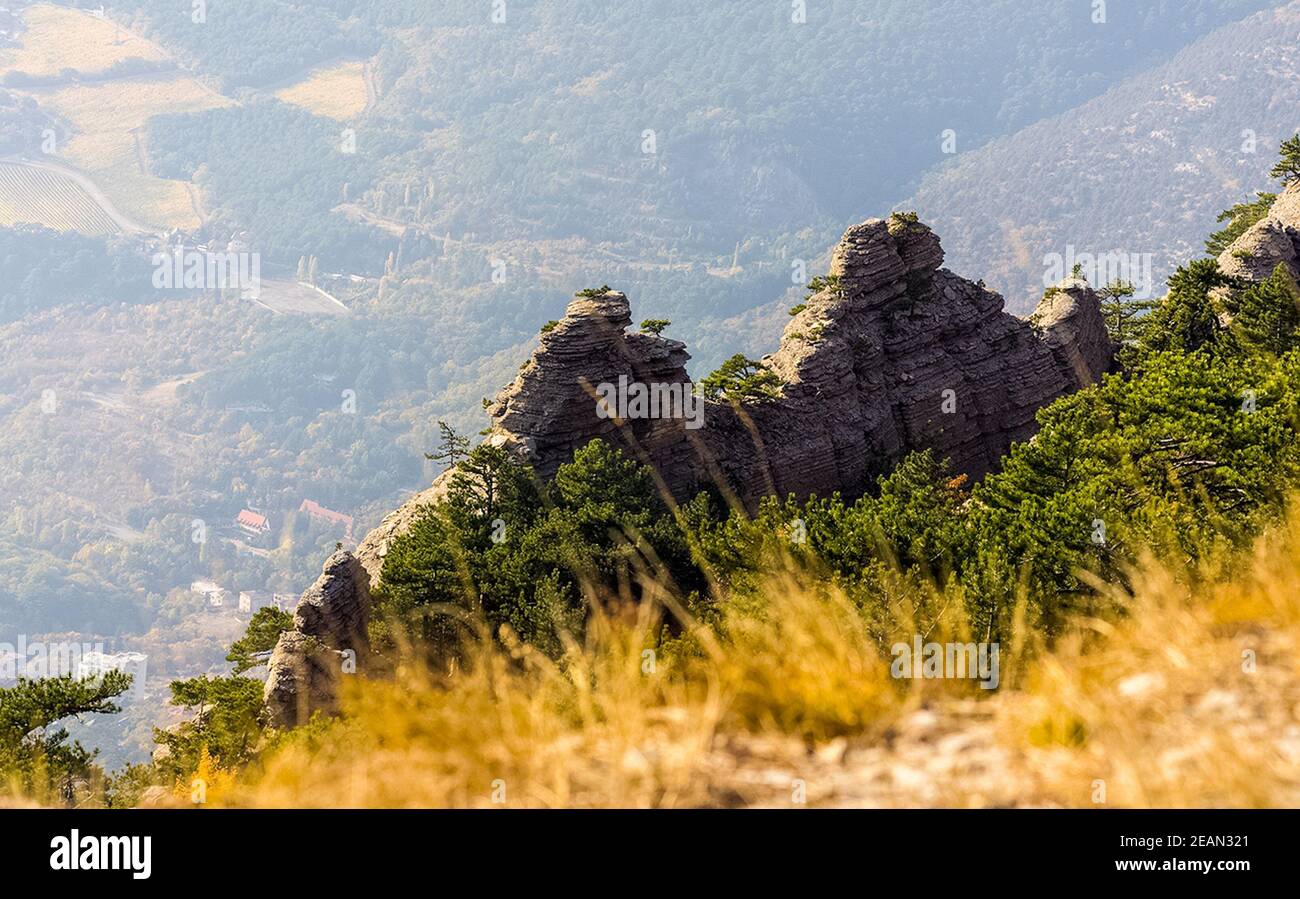 Mountains and forests of Crimea. coniferous and deciduous trees on the ...