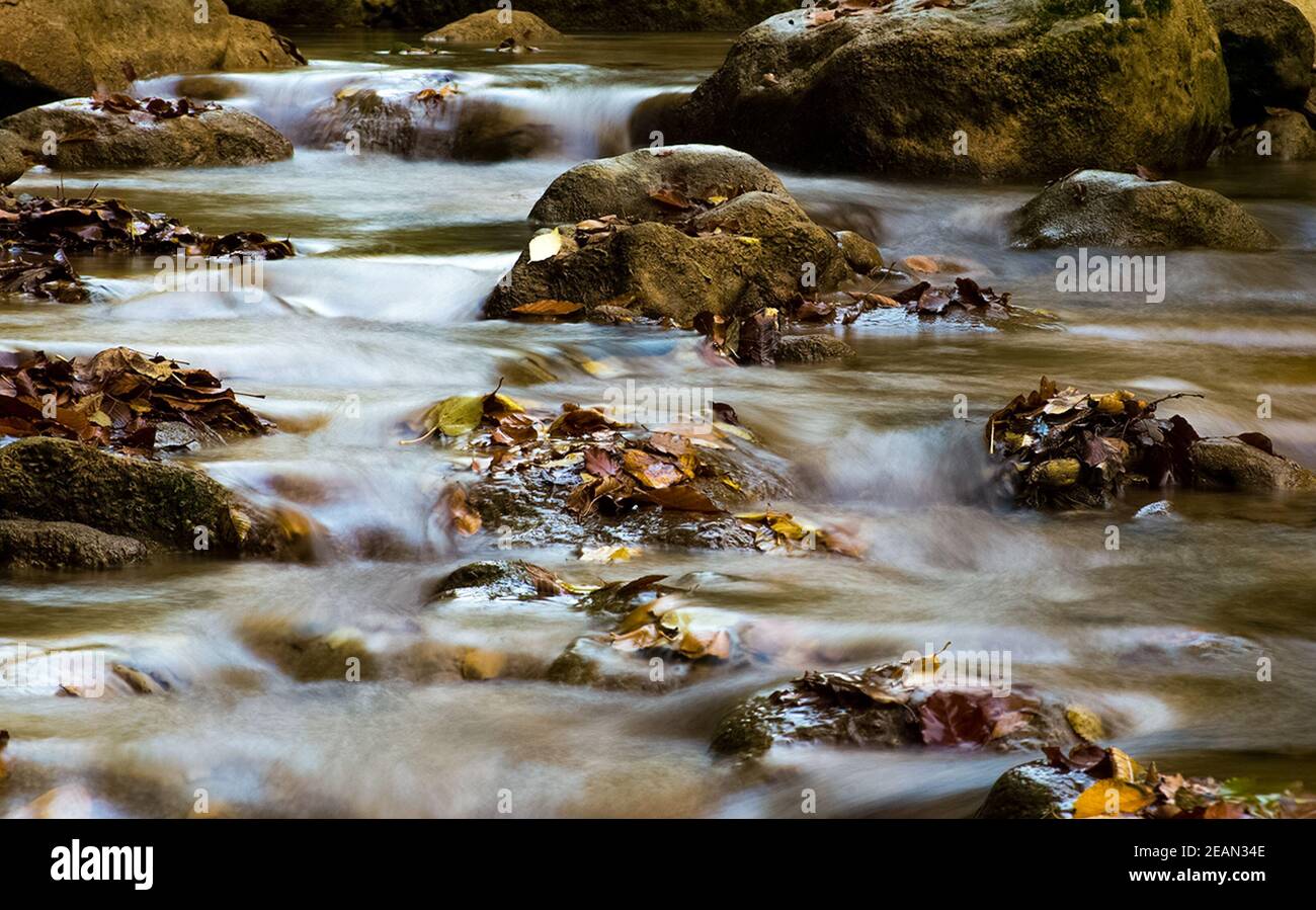 Mountain small river in forest with rapids and waterfalls. A forest ...