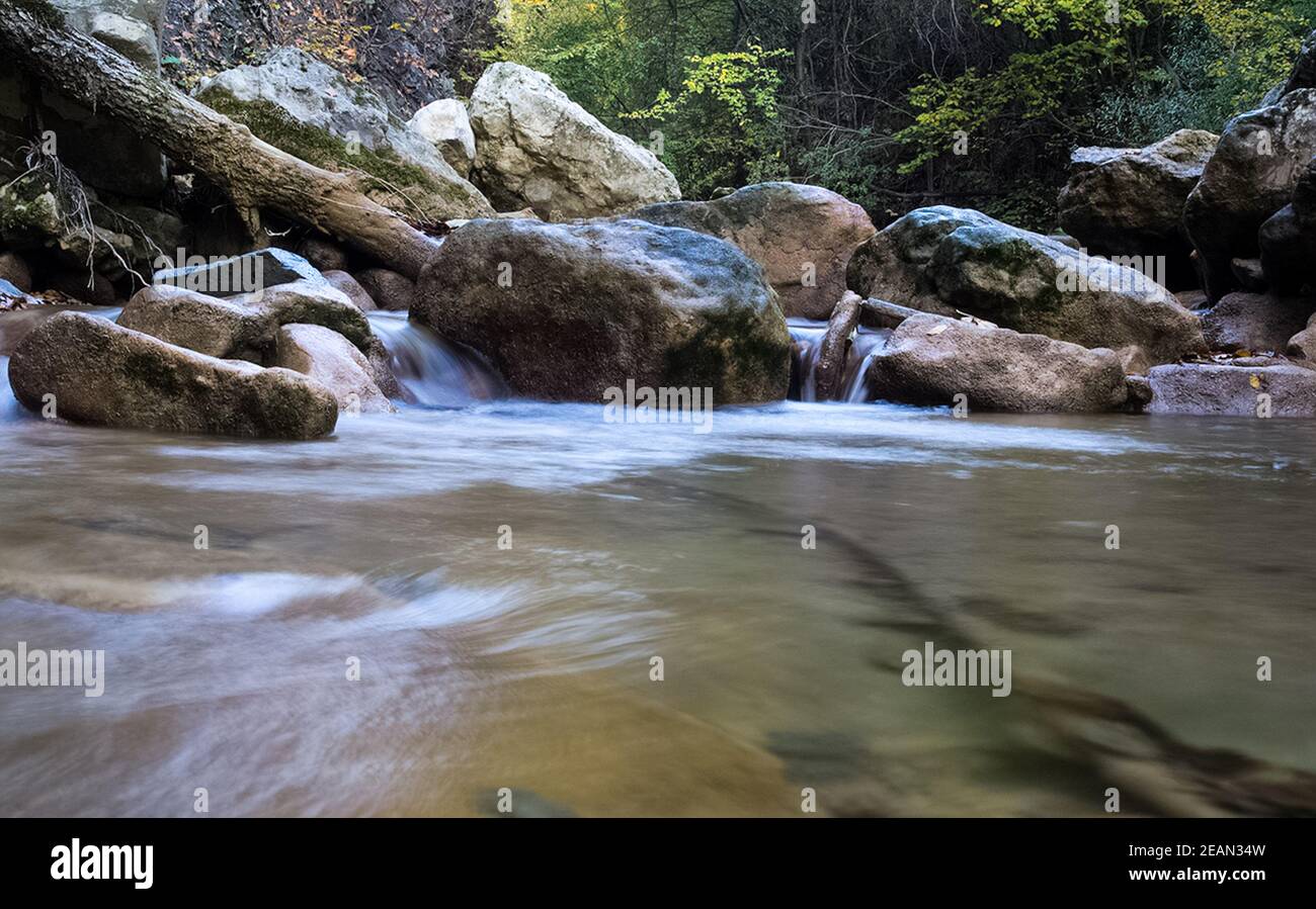 Mountain small river in forest with rapids and waterfalls. A forest ...