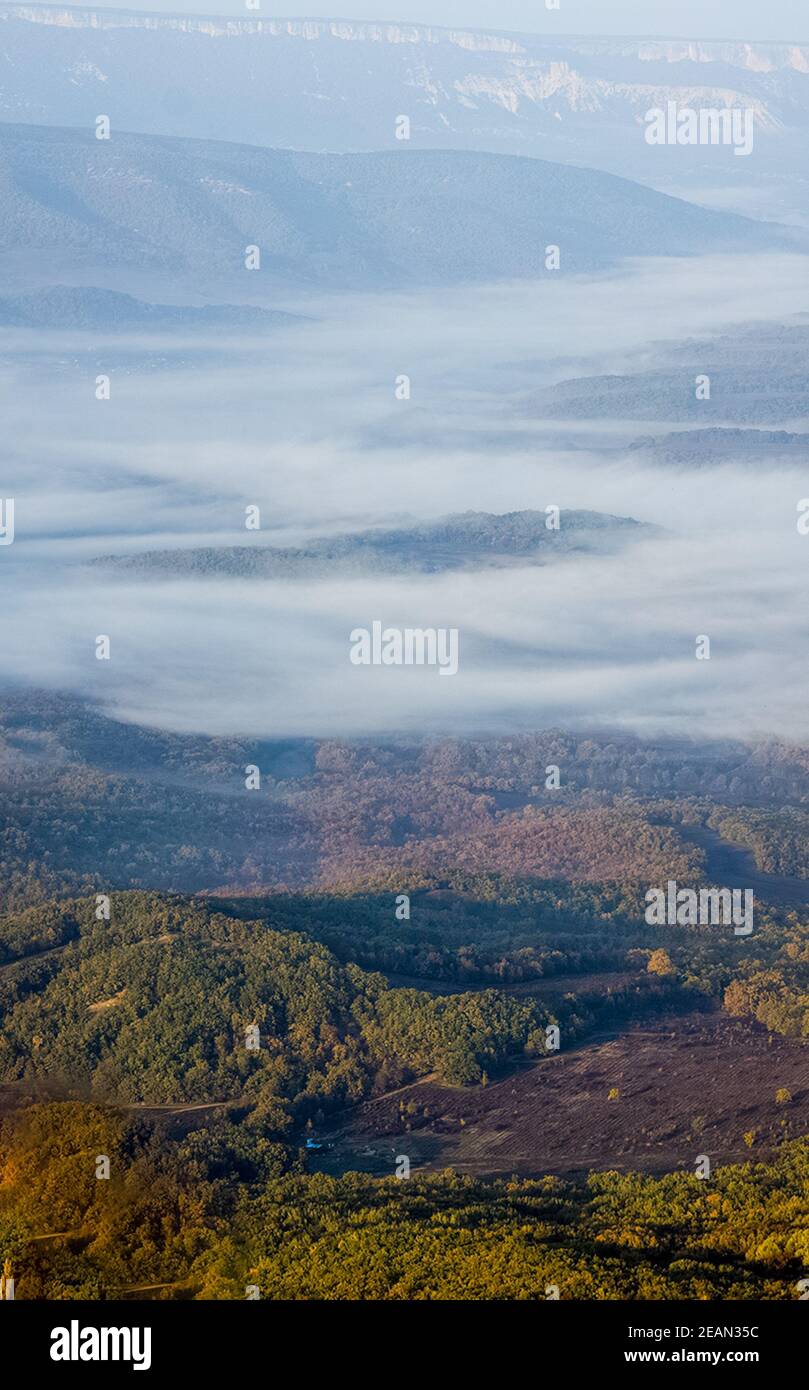Coniferous and deciduous forest hi-res stock photography and images - Alamy