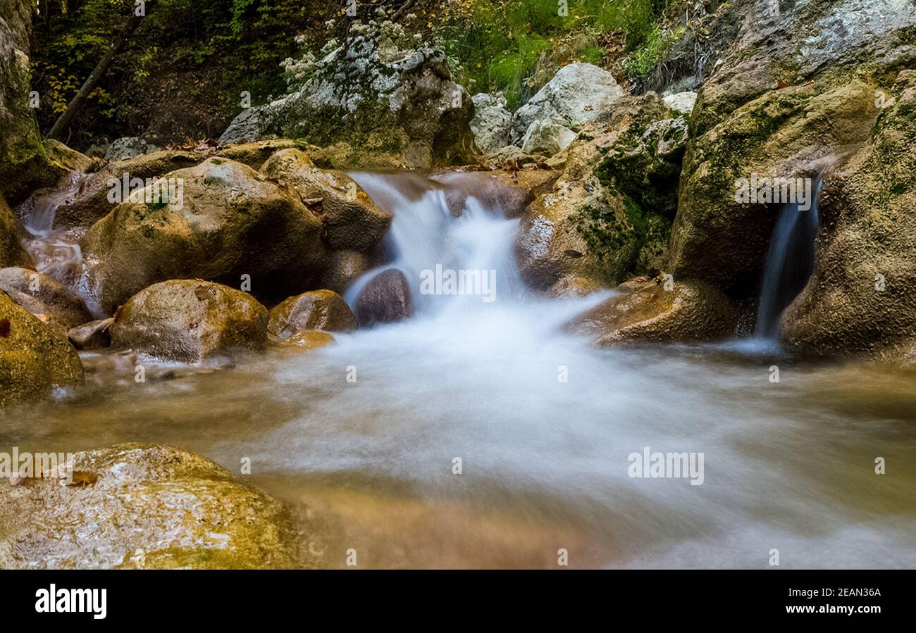 Mountain small river in forest with rapids and waterfalls. A forest ...