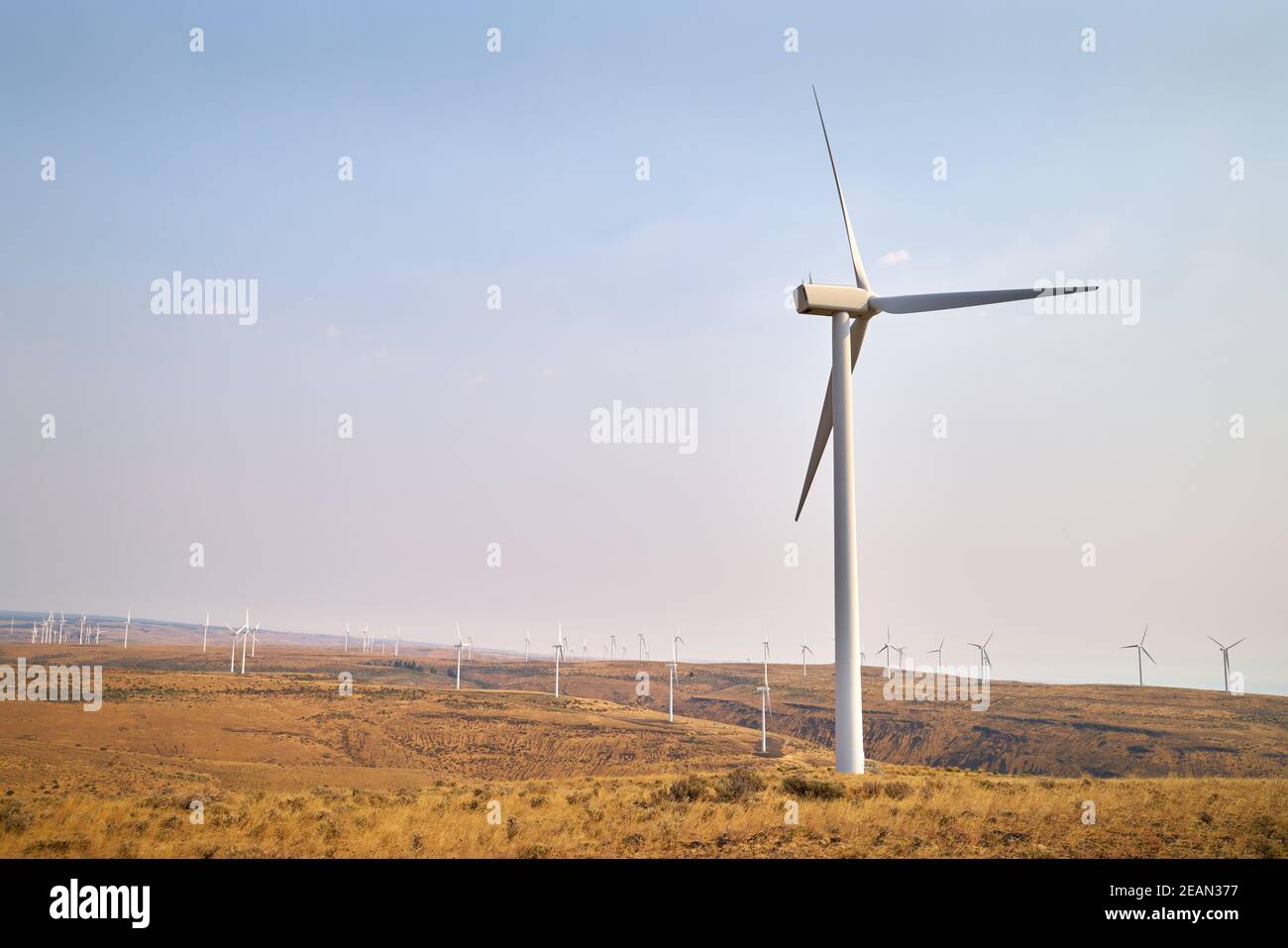 Windfarm Turbines. Wind turbines on an arid field of grass in ...