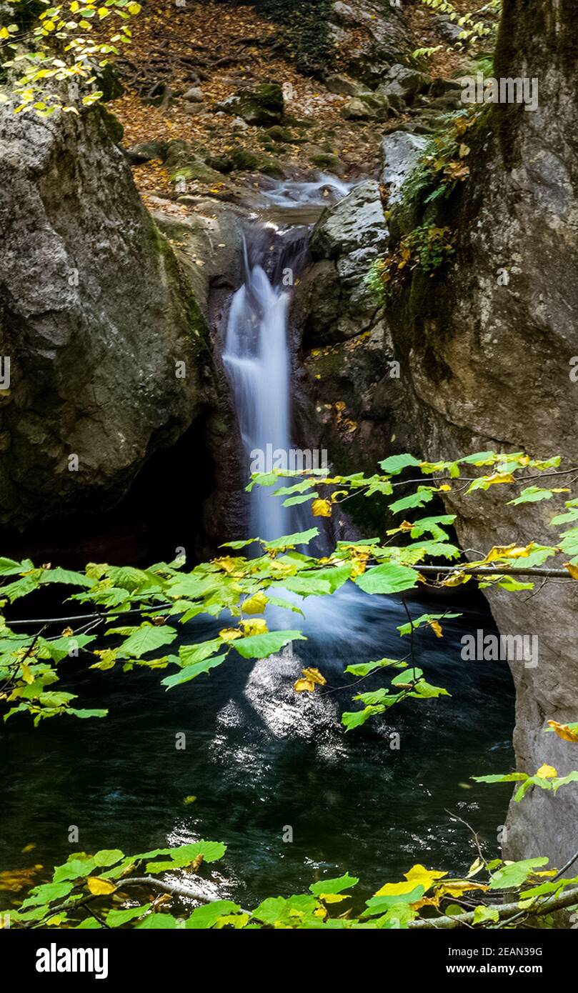 Mountain small river in forest with rapids and waterfalls. A forest ...