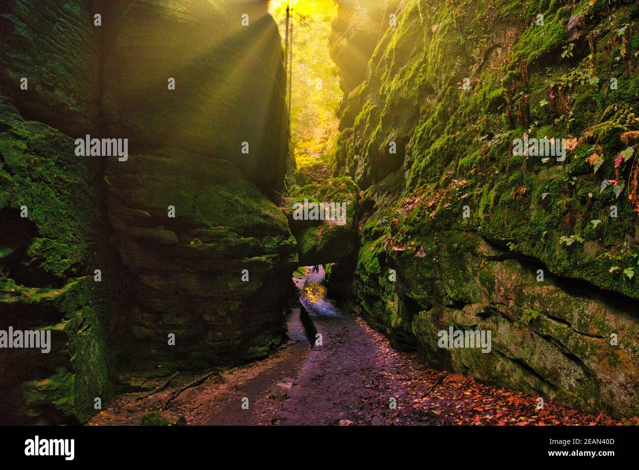Saxon Switzerland is a unique natural wonder in Germany Stock Photo - Alamy