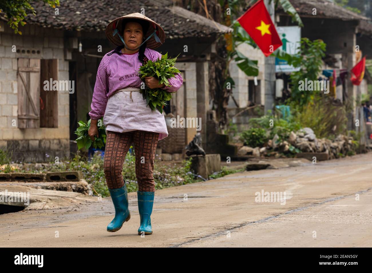 Woman farm hi-res stock photography and images - Alamy