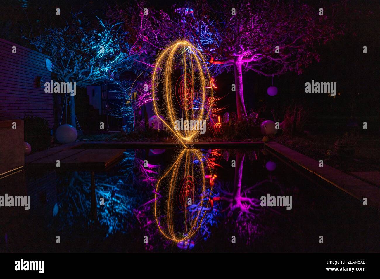 Light painting with colorfully illuminated trees Stock Photo - Alamy