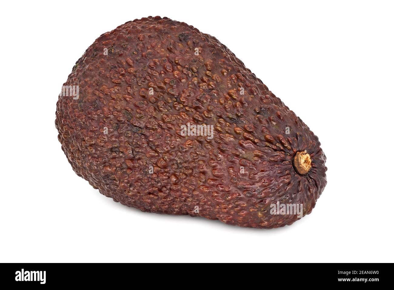 Avocado Fruit Close Up Stock Photo - Alamy