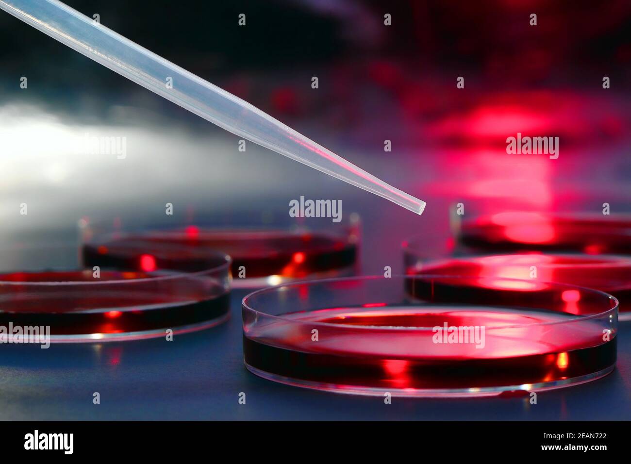 Laboratory glassware medical research hi-res stock photography and ...