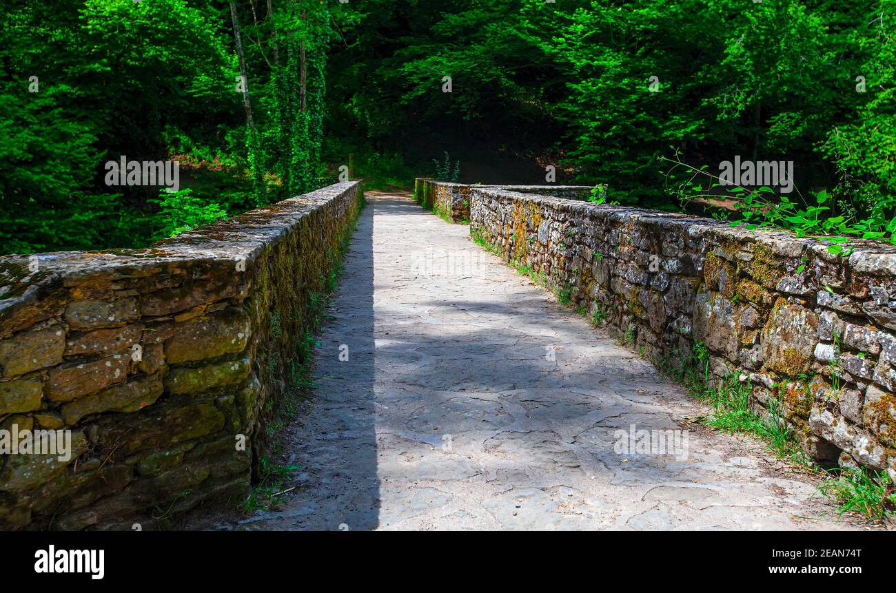 Borders forest hi-res stock photography and images - Alamy