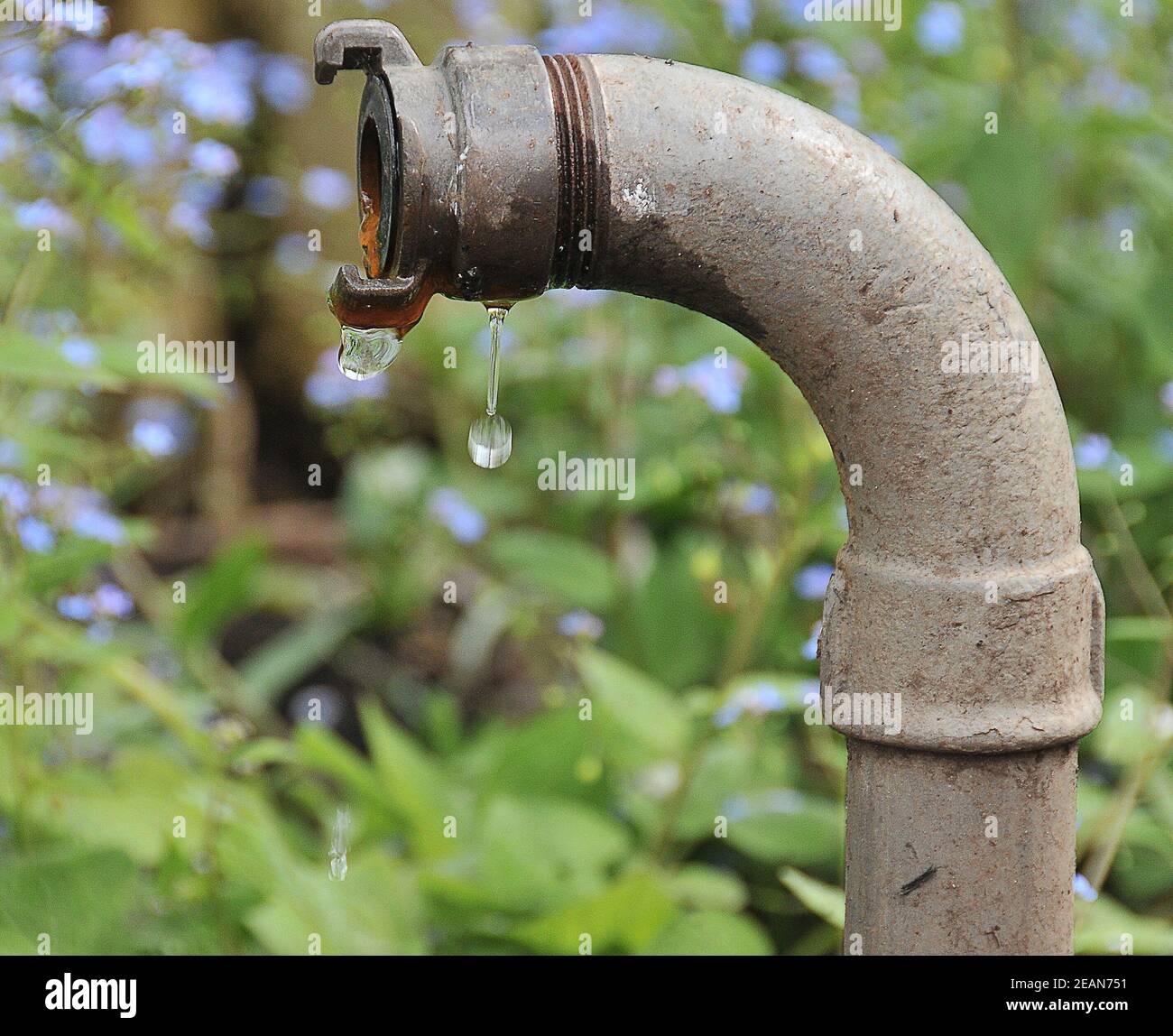Garden water pipe hi-res stock photography and images - Alamy