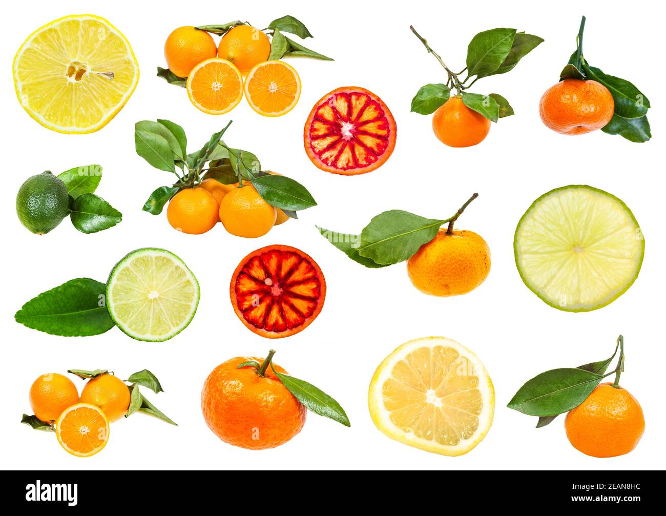 collection of various citrus fruits isolated Stock Photo - Alamy