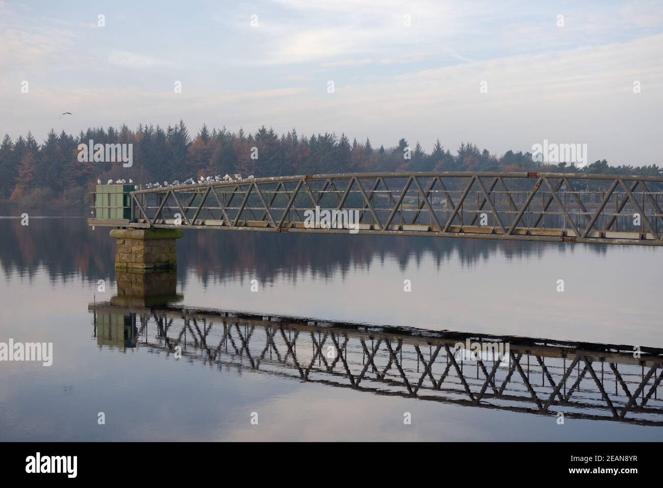 Redmires reservoir metal jetty and conifer forest reflected in water ...