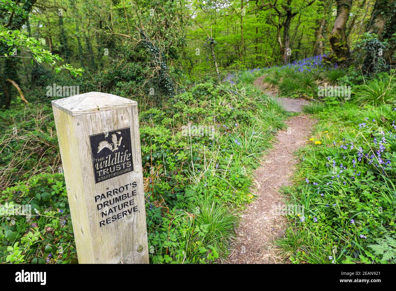 A wooden sign post for Staffordshire Wildlife's Parrot's Drumble Nature ...
