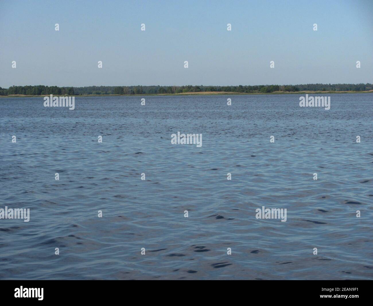 large water area with ripples and forest on the horizon Stock Photo - Alamy