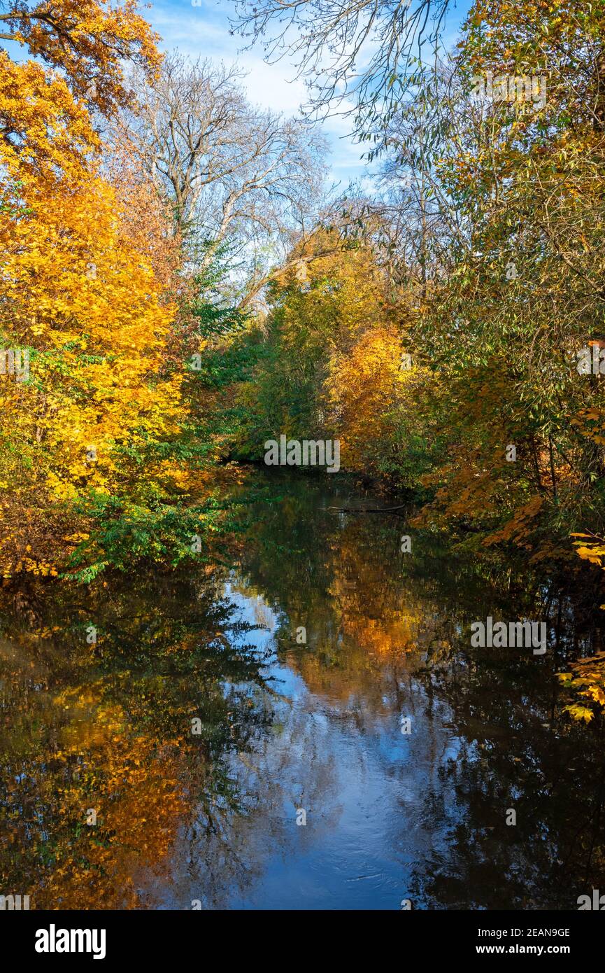 Autumn tree reflections in river hi-res stock photography and images ...