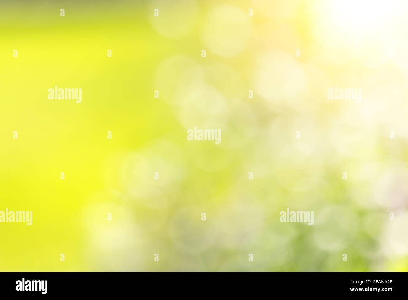 blurry natural background with shallow focus Stock Photo - Alamy