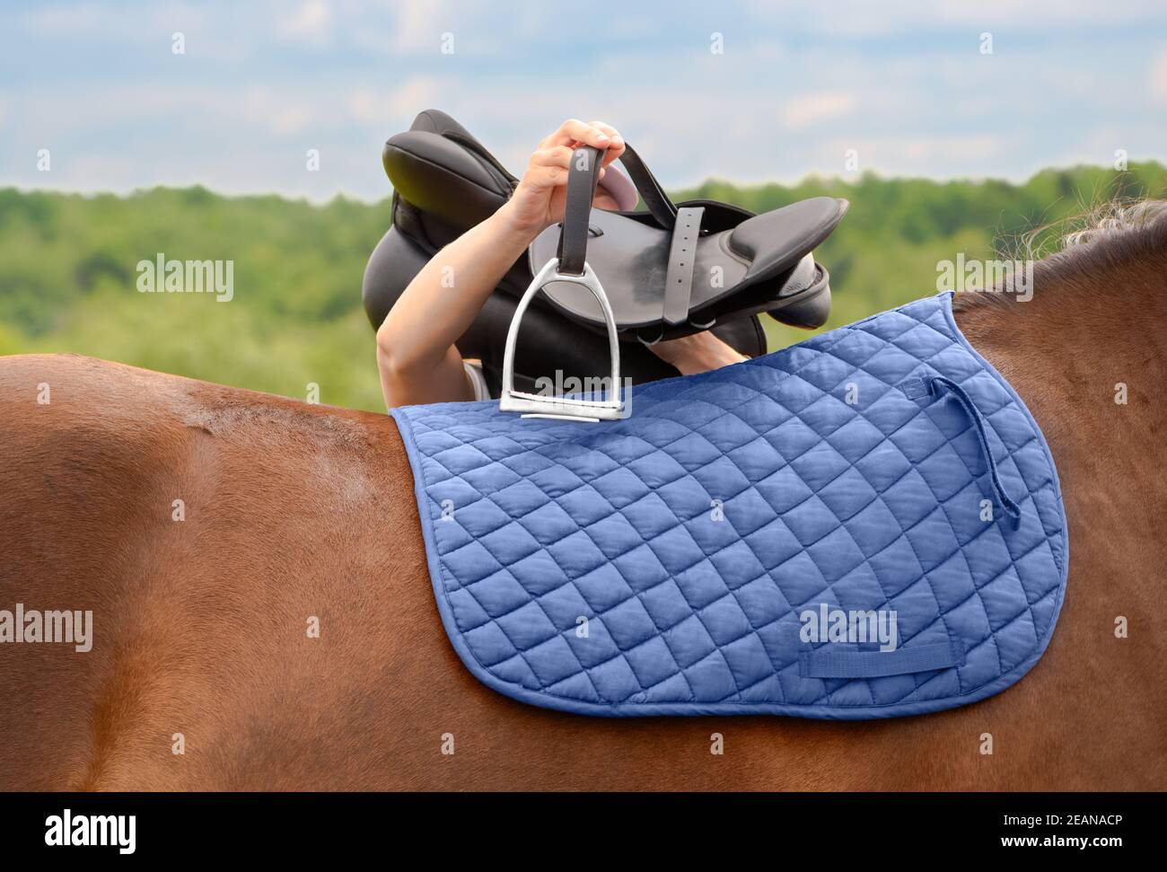 Human saddle hi-res stock photography and images - Alamy