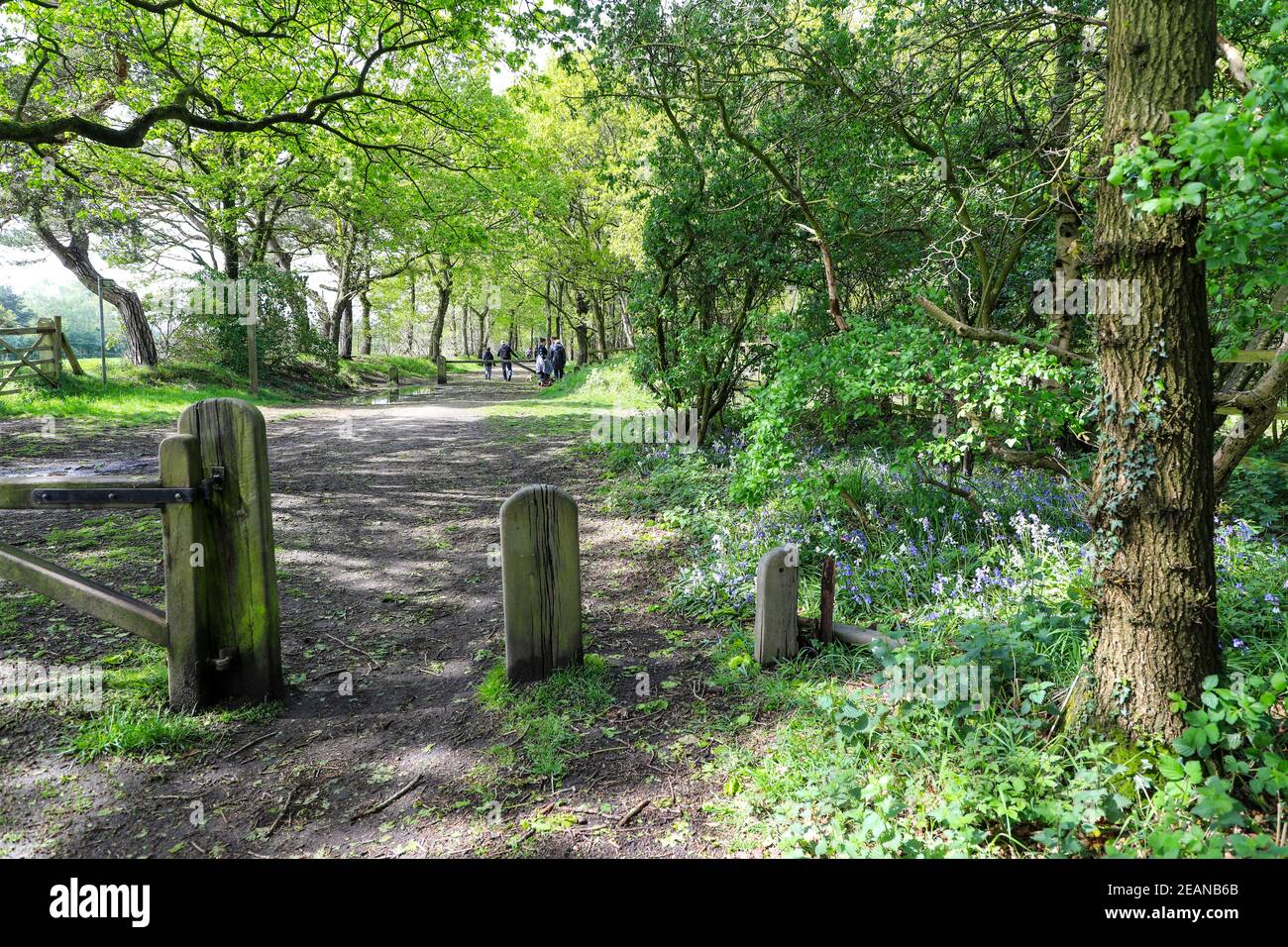 Whitegate Way, Clay Lane, Marton, Winsford, Cheshire, England, UK Stock ...