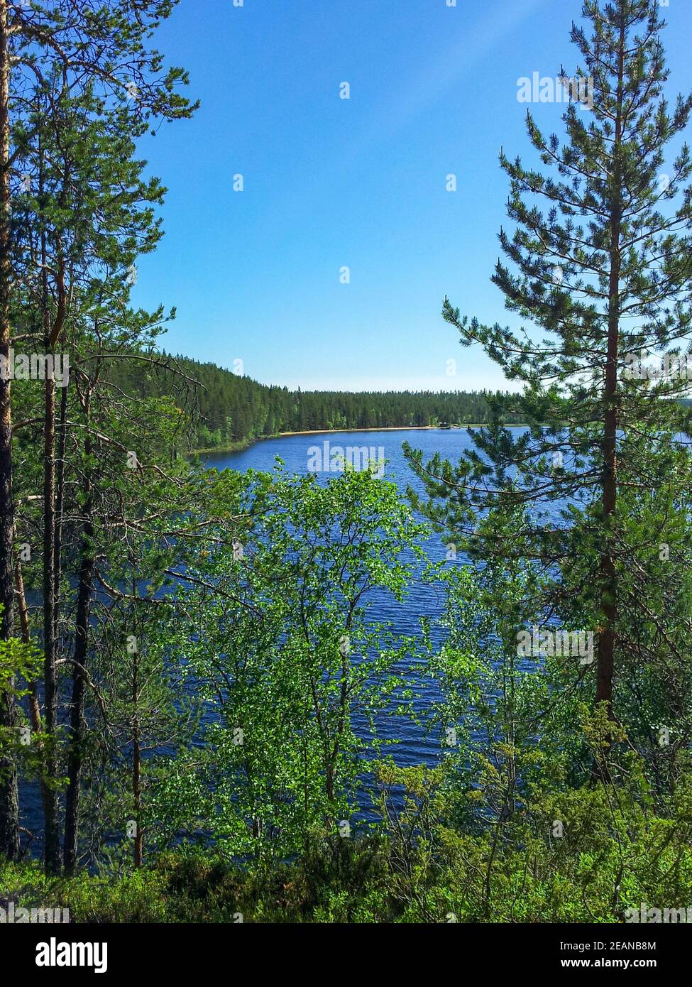 Vertical shot of a small lake in Oulanka National Park, Finland ...
