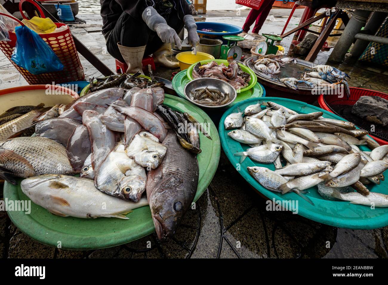 Hoi fish market vietnam hi-res stock photography and images - Alamy