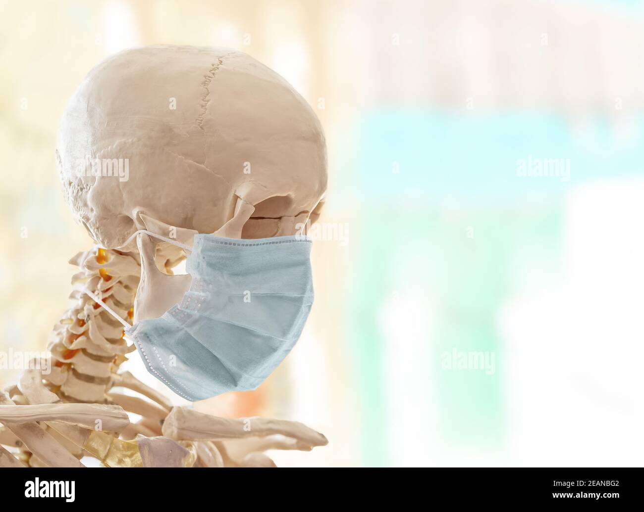 Human skull in simple thin medical mask for protection against viral ...