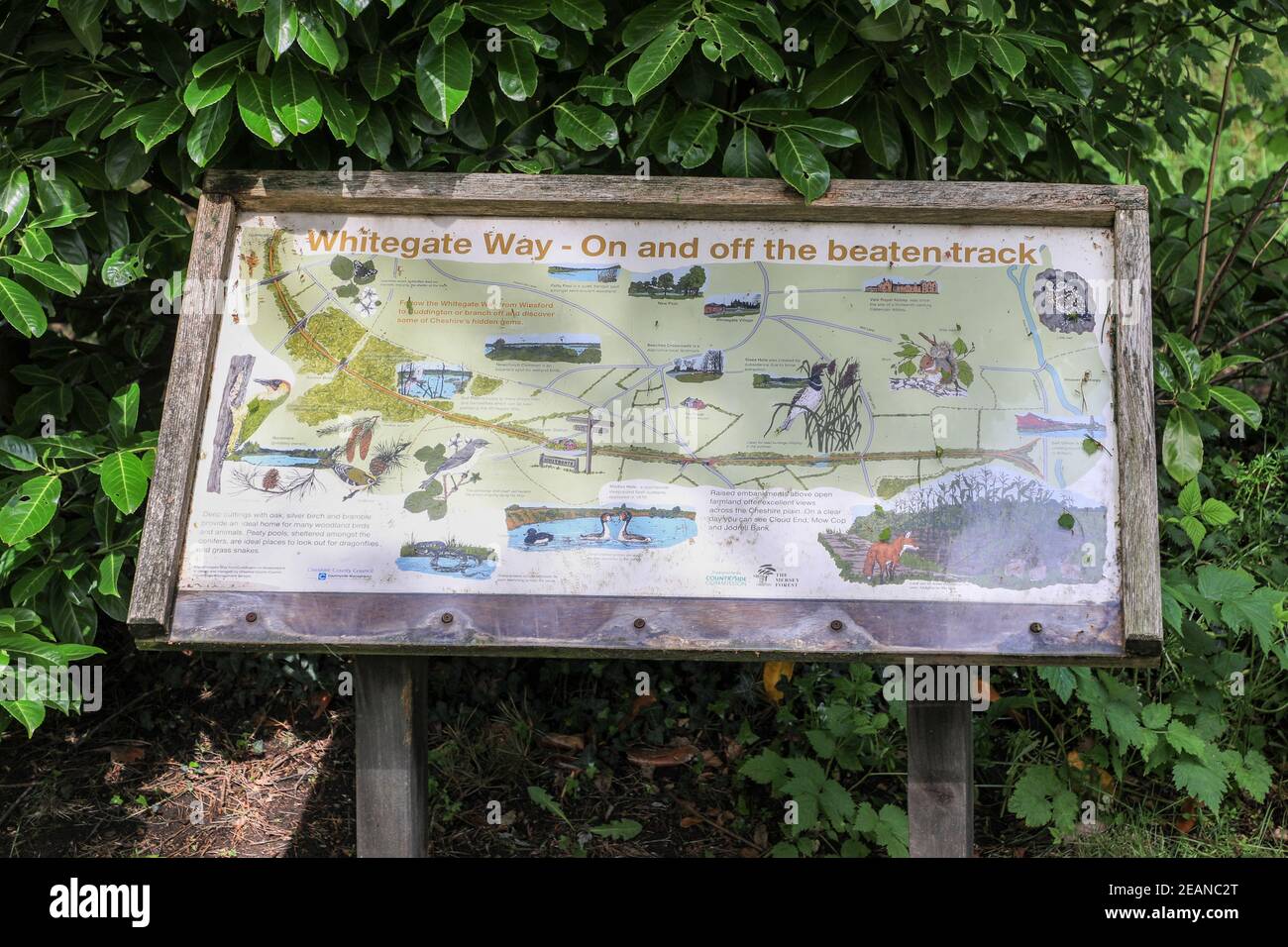 Map of cheshire england hi-res stock photography and images - Alamy