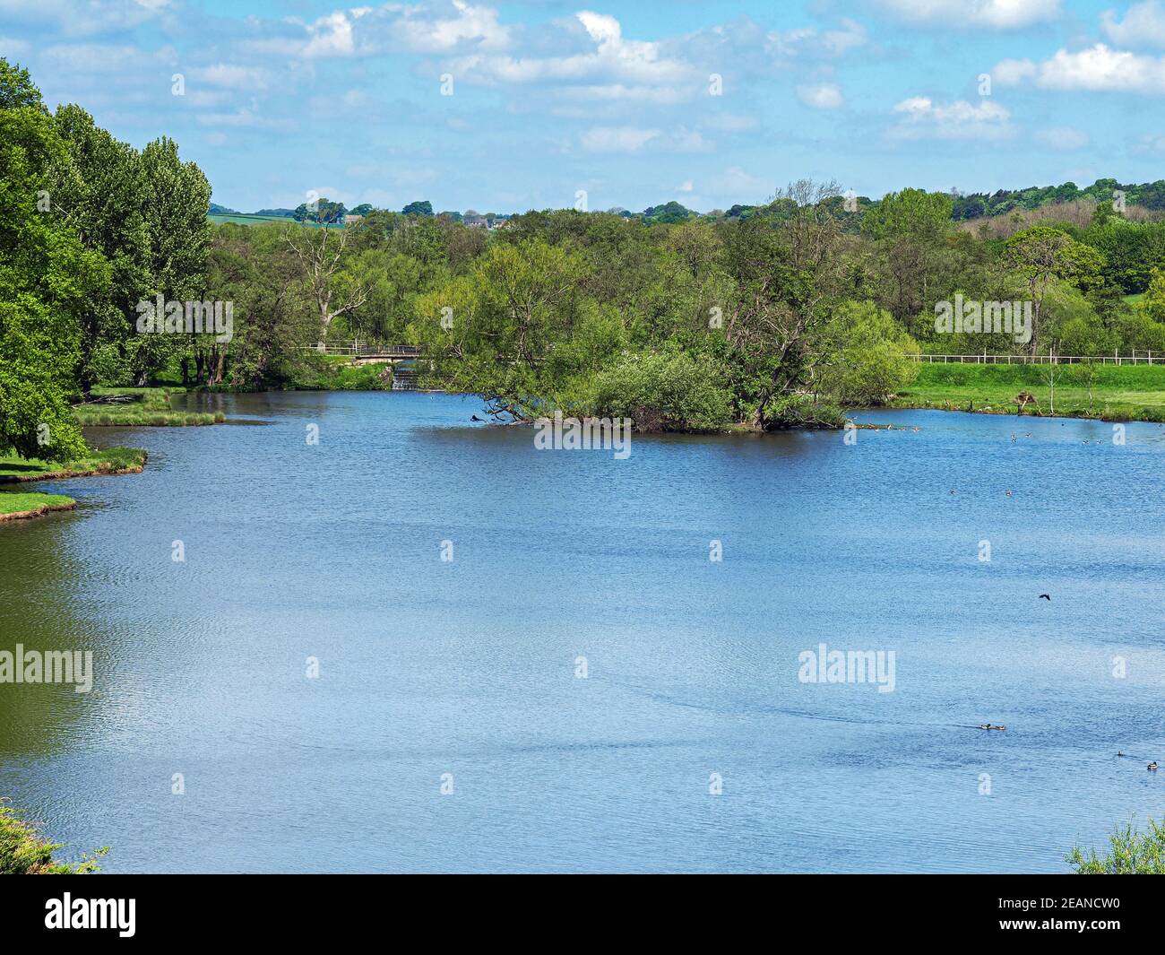 Small lake surrounded by green trees with a blue sky Stock Photo - Alamy