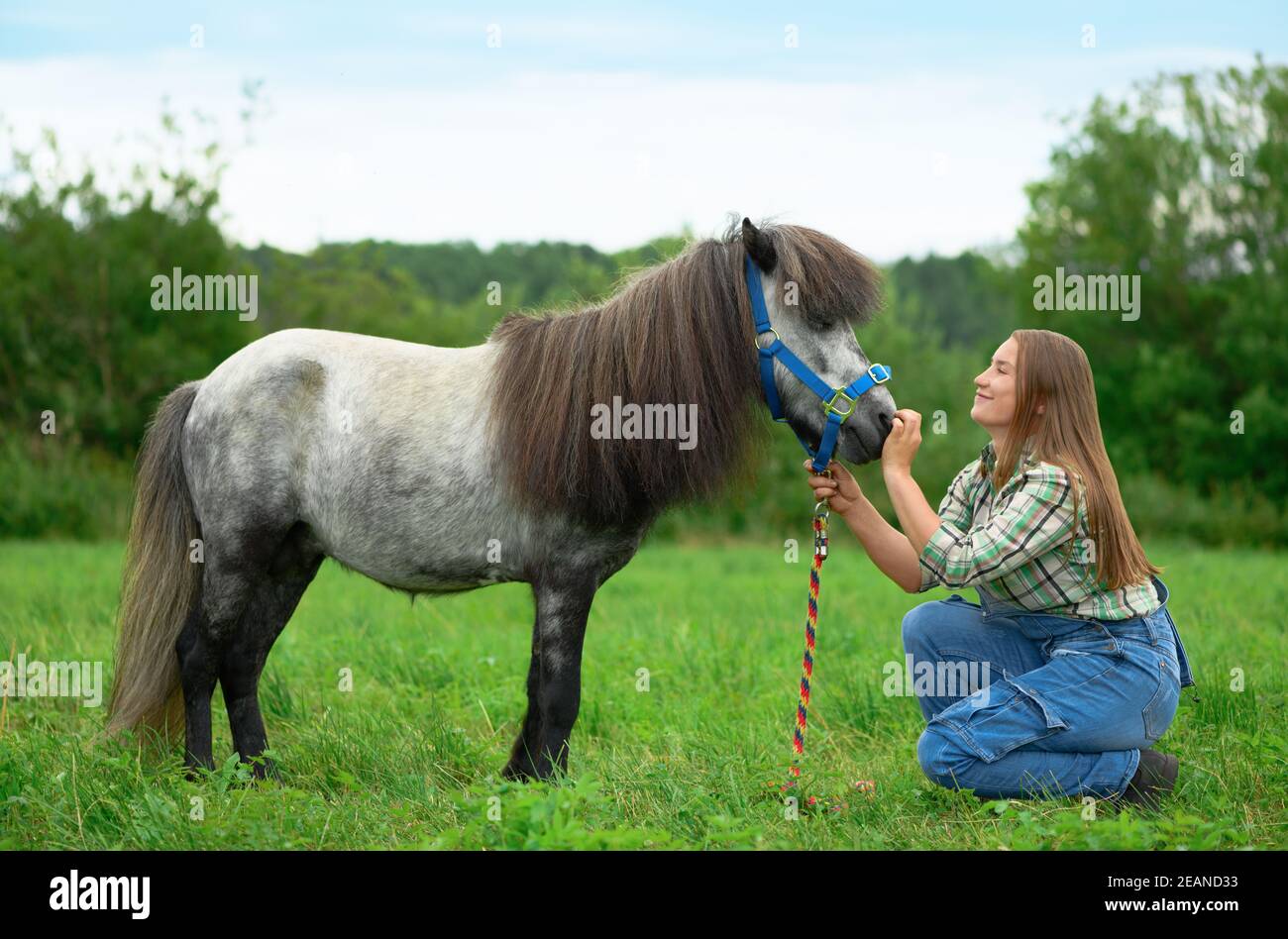 Caucasian young woman and her pony are on the pasture face to face ...
